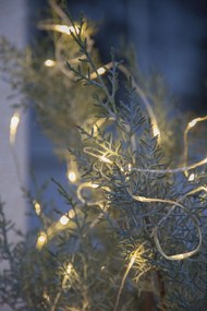 STAR TRADING Světelný řetěz - Light Thread - 23 m, čirá barva, plast