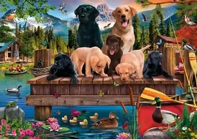 SCHMIDT Puzzle Psí rodinka u jezera / 1000 dílků / od 12 let