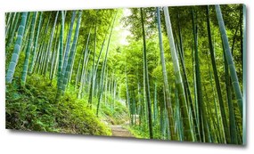 Wallmuralia Foto obraz skleněný horizontální Bambusový les 100x50