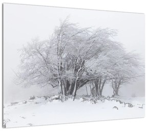 Skleněný obraz - Bílá zima (70x50 cm)