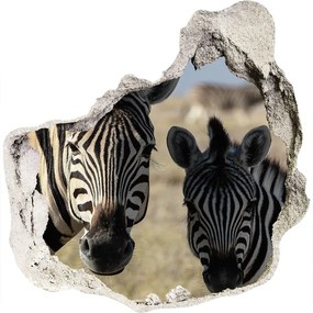 Wallmuralia Díra 3D fototapeta nálepka Dvě zebry 75x75 cm