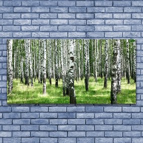 akrylový obraz Les Tráva Rostlina Příroda 120x60 cm