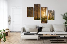 Vícedílný obraz Západ Slunce V Lese Nedostatek Nedostatek Přírodní plátno 240x150