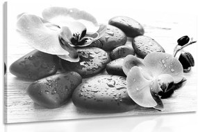 Obraz krásná souhra kamenů a orchideje v černobílém provedení - 120x80 cm
