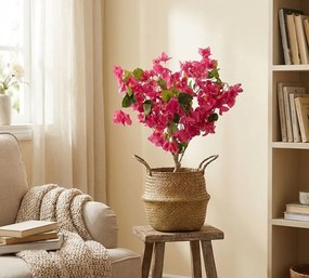 Stromek s růžovými květy Bougainvillea Tree - 30*30*90 cm