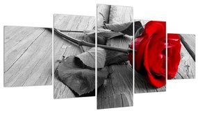 Obraz rudé růže (150x80 cm)