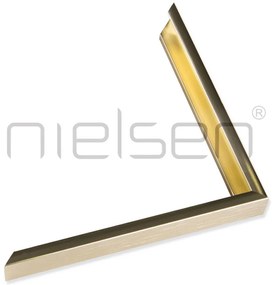 DANTIK - Zarámované zrcadlo - rozměr s rámem cca 50x90 cm z lišty Hliník zlatá lesklá | P01-001 (7001001)