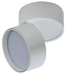 LED bodové světlo Mona 12W 4000K bílé