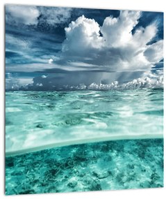 Obraz - Pohled pod mořskou hladinu (30x30 cm)