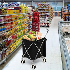 Costway Nákupní košík Skládací nákupní vozík s kolečky – 66 × 46 × 94,5 – černý