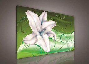 Obraz na plátně lilie na zeleném podkladu 100 x 75 cm