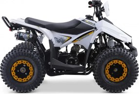 Leramotors Monkey 125 ccm - dětská čtyřkolka, automat / žlutá