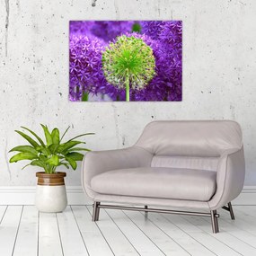 Skleněný obraz květiny (70x50 cm)