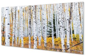 akrylový obraz podzimu bříza 100x50 cm
