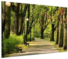 Obraz uličky v parku (100x70 cm)