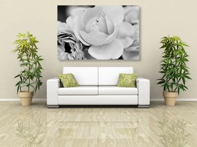 Obraz plný růží v černobílém provedení - 90x60 cm