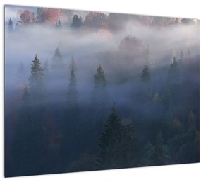 Obraz - Les v mlze, Karpaty, Ukrajina (70x50 cm)
