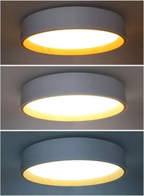LED stropní světlo s dálkovým ovládáním Larios nastavitelné - průměr 39 cm, bílá