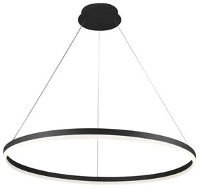 Brilagi - LED Stmívatelný lustr na lanku CIRCLE LED/55W/230V 3000-6500K černá+DO