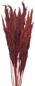 Vínová kytice sušené květy bambusu Bamboo – 100 cm