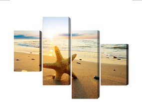 Vícedílný obraz Hvězdice Na Pláži 3D Nedostatek Nedostatek Přírodní plátno 240x150