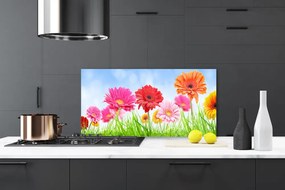 Kuchyňský skleněný panel Květiny tráva Rostlina 100x50 cm