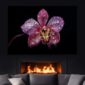 Obraz na plátně - Orchidej, kapky souznění FeelHappy.cz Velikost obrazu: 180 x 120 cm