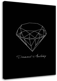 Gario Obraz na plátně Anatomie diamantu Rozměry: 40 x 60 cm