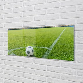 akrylový obraz Fotbalový stadion trávy 120x60 cm