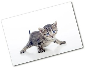 Wallmuralia Kuchyňská deska skleněná Malá kočka 80x52 cm