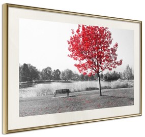 Artgeist Plakát červený strom Velikosti (šířkaxvýška): 60x40, Finální vzhled: Zlatý rám s paspartou