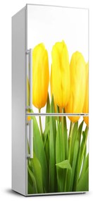 Wallmuralia Nálepka fototapeta Žluté tulipány 60x180 cm