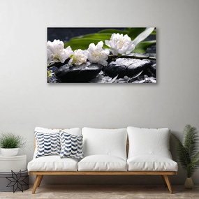 Obraz na plátně Květ Kameny 125x50 cm