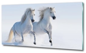 Wallmuralia Foto obraz sklo tvrzené Dva koně ve sněhu 100x50