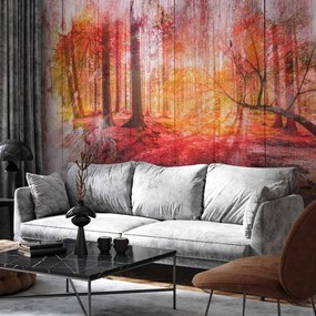 Fototapeta Podzimní les - abstrakce s lesem a stromy na bílém dřevěném pozadí