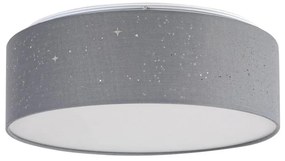 Rabalux - LED Stropní svítidlo LED/22W/230V šedá