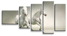 Sablio Obraz - 5-dílný Dva bílí koně - 100x60 cm