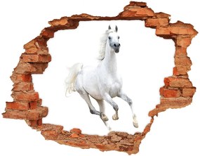 Wallmuralia Fototapeta díra na zeď Bílý arabský kůň 90x70 cm