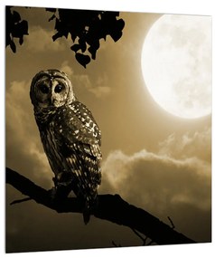 Obraz noční sovy (30x30 cm)