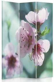 Ozdobný paraván Růžový květ jabloně - 110x170 cm, třídílný, klasický paraván