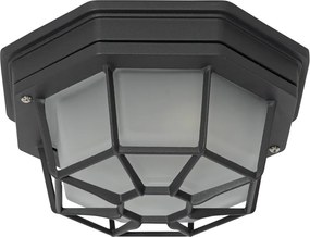 Venkovní stropní svítidlo tmavě šedé 21,3 cm IP44 - Bri