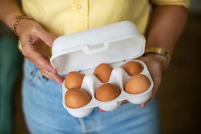 Úložná nádoba na vejce Eggs To Go Organic Nature mini zelená