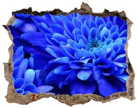Wallmuralia Samolepící díra nálepka Modrá astera 95x64 cm