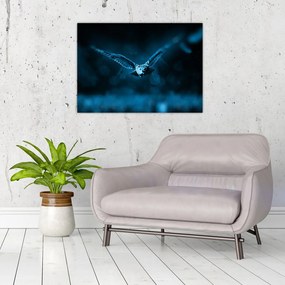 Skleněný obraz letící sovy (70x50 cm)