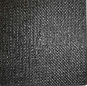 Rohožka před dveře přírodní 100 x 200 cm kokosové vlákno 155607