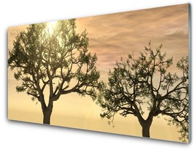 Obraz na skle Stromy Příroda 140x70 cm