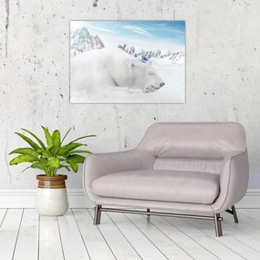 Skleněný obraz - Lední medvěd (70x50 cm)