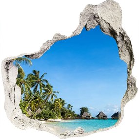 Wallmuralia Díra 3D ve zdi nálepka Pláš Karibské ostrovy 75x75 cm
