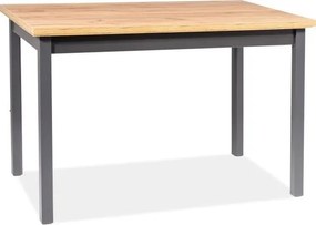 Casarredo - Komfort nábytek Jídelní stůl ADAM 100x60, dub lancelot/antracit