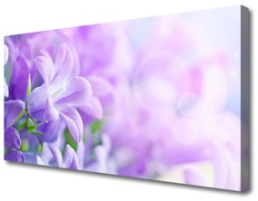 Obraz na plátně Květiny Rostlina Příroda 120x60cm